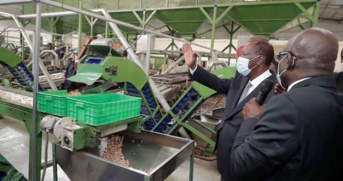 Leader mondial de la production : Comment la Côte d’Ivoire veut ...