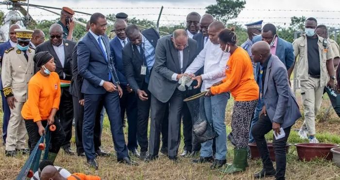 Elevage de poisson La Côte d’Ivoire renforce sa capacité de production
