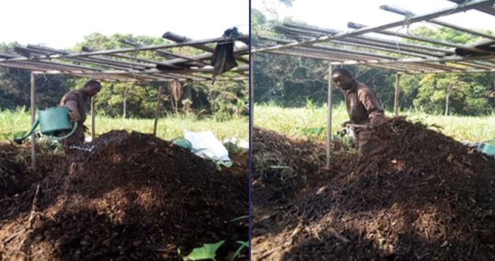 Vision 20250 de la CEDEAO / L’usage du compost pour une agriculture ...